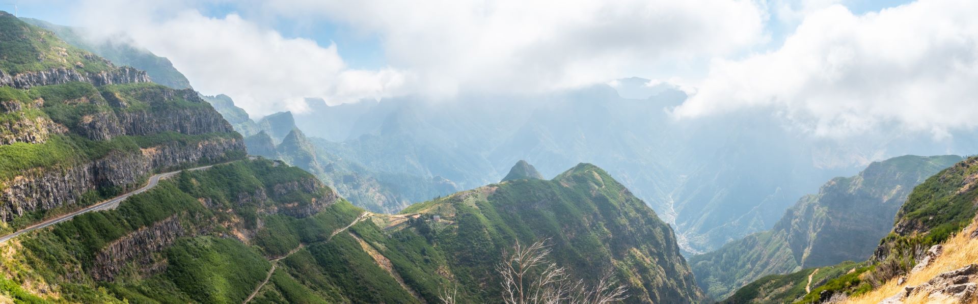 Top Reasons to Visit Madeira in January - Blog